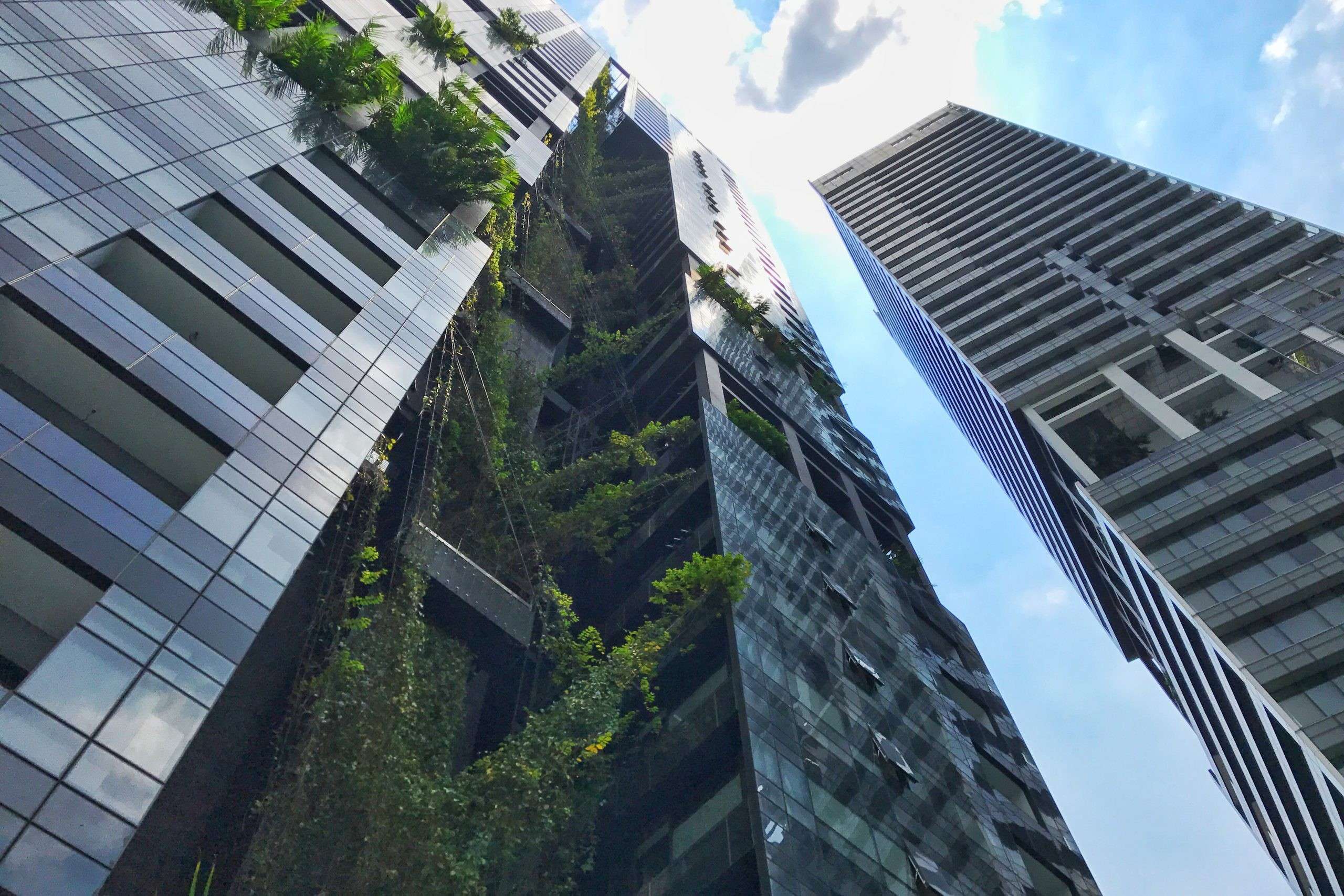 Nouvel 18 | LushHomeMedia